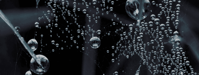 Dark Web Discussion with Dr. Virgil Griffith