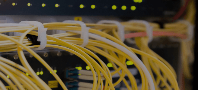 Rapid Data Extraction CE: Success & Innovation